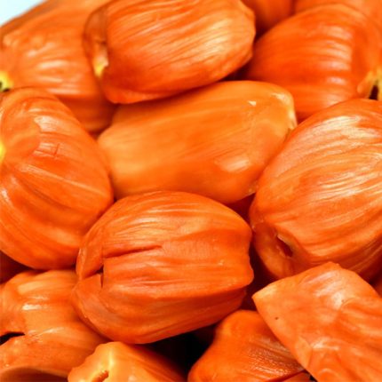 Buy Daeng Suriya (Red Jack) Jackfruit Plant Online | Kerala Nursery