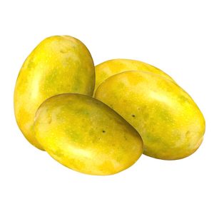 Buy Imam / Himam Pasand Mango Fruit Plant | Kerala Nursery